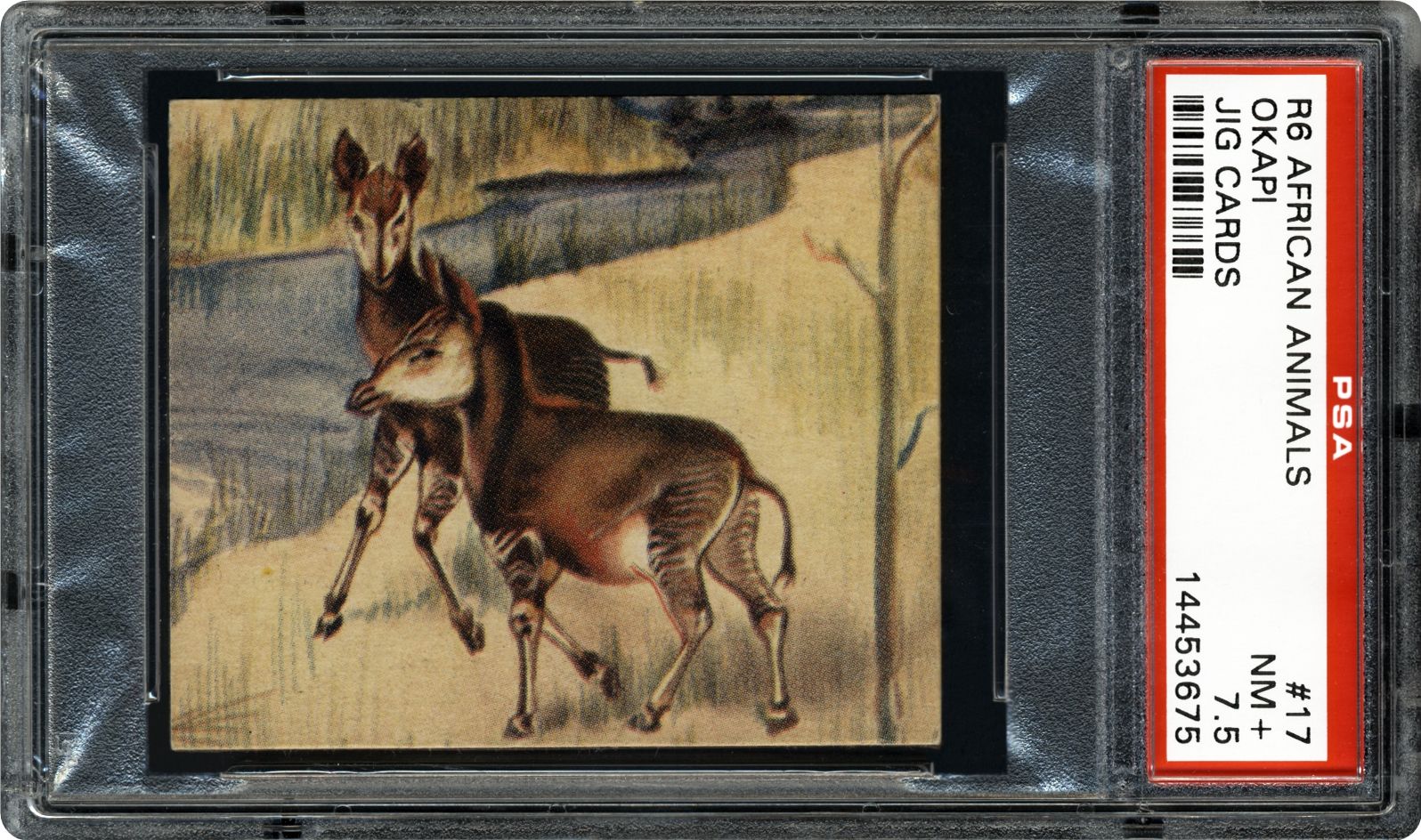 1930s National Licorice African Animals Jigs (R6) Okapi (Jig Cards ...